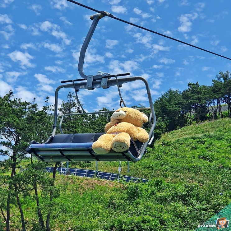경북 청도 가볼만한곳 레일바이크 가격 청도 루지 군파크 체험 후기 네이버 블로그