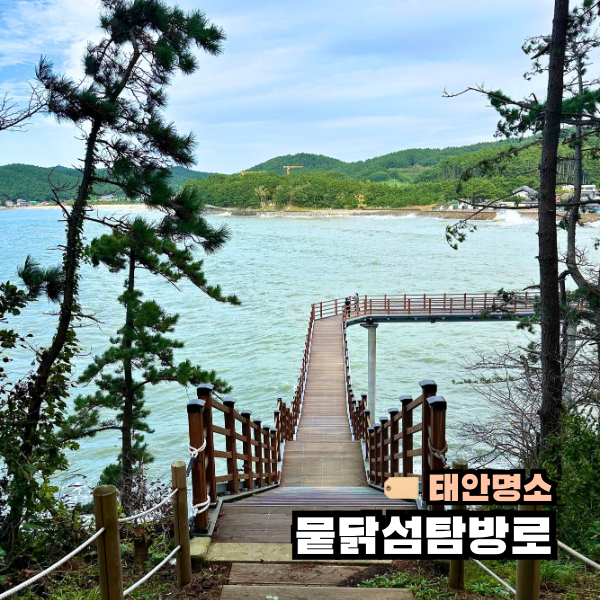 태안 여행 뭍닭섬 탐방로 데크길 가는법 주차 꿀팁 네이버 블로그