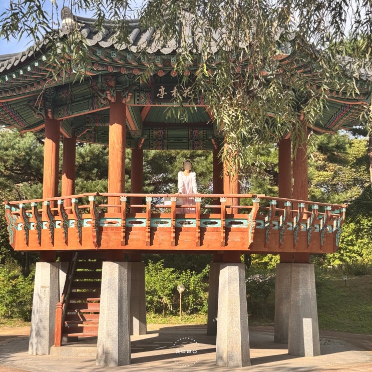 춘천 가을 필수 가볼만한곳 강원도립화목원 사진 명소 네이버 블로그