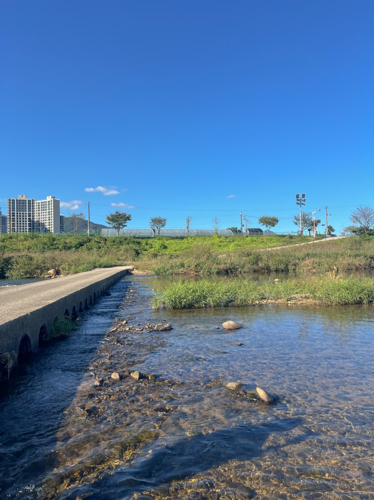 험난한 길 캠핑장 A-2사이트 후기 - 다문188 : 네이버 블로그