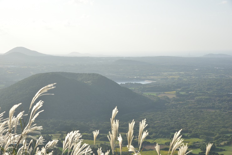 제주도 오름 추천 제주도 억새 제주 다랑쉬오름 아끈다랑쉬오름 : 네이버 블로그