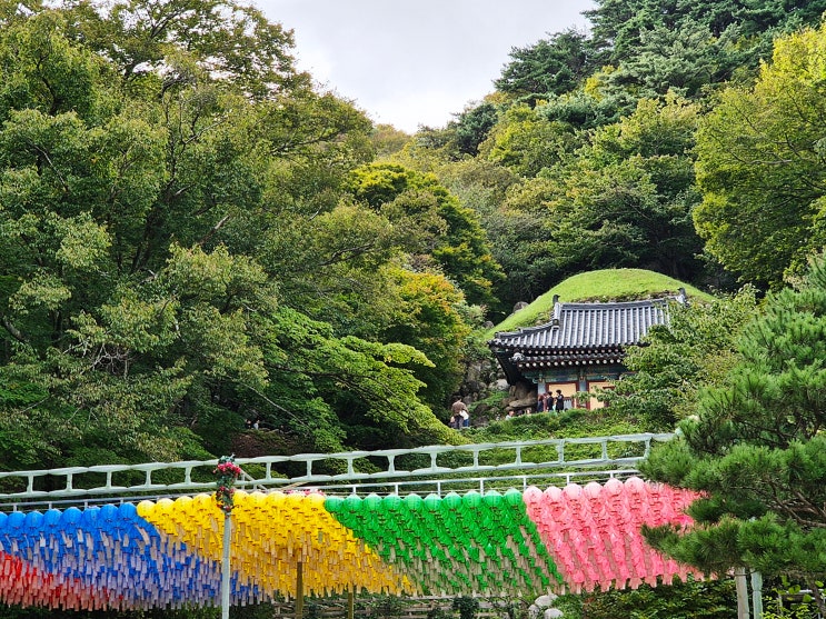 아이와 경주 가볼만한곳 경주 여행 필수코스 석굴암 네이버 블로그