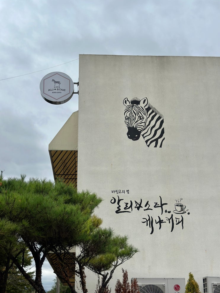 창녕카페 - 알리케냐스타커피 창녕점 (저수지뷰 힐링🫧) : 네이버 블로그