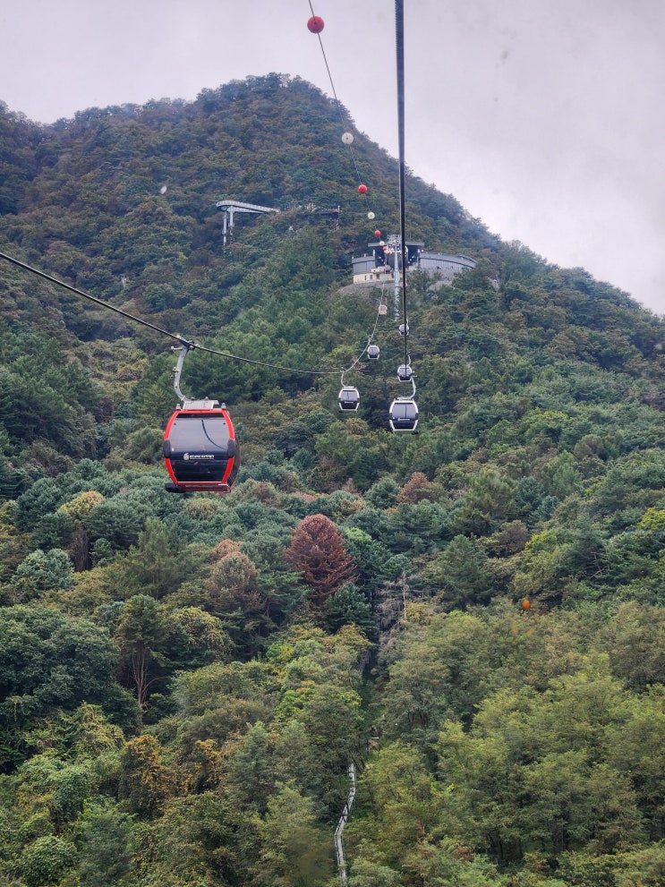 [춘천] 삼악산 호수 케이블카 | 국내 최장 케이블카 눈호강 제대로🚠 : 네이버 블로그