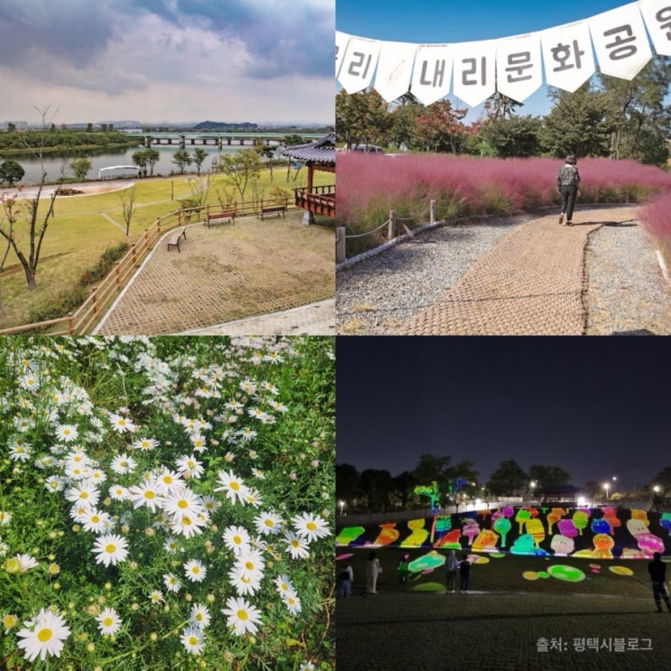 경기도 평택 가볼만한곳 내리문화공원 핑크뮬리 원평나루 억새축제 가수 네이버 블로그