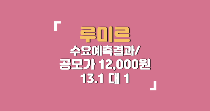 루미르 수요예측 결과 공모가 확정 12000원 매우 안좋은 결과 공모주 청약 기관투자자 경쟁률 의무보유확약 네이버 블로그