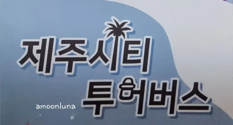 제주시티투어 버스 이용 요금 시간표 운행 노선 : 네이버 블로그