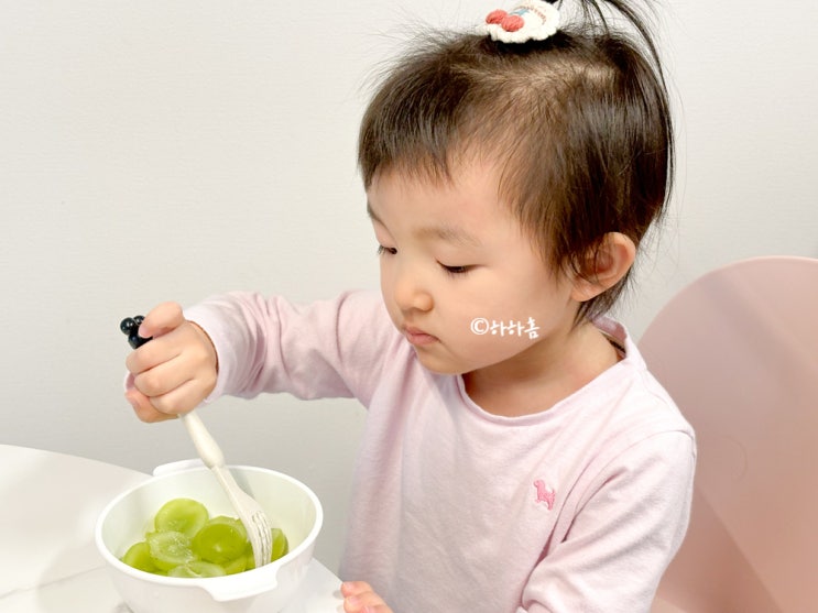 아기 포도 언제부터 샤인머스켓 먹는 시기 주의사항 9개월 10개월 아기 과일 네이버 블로그