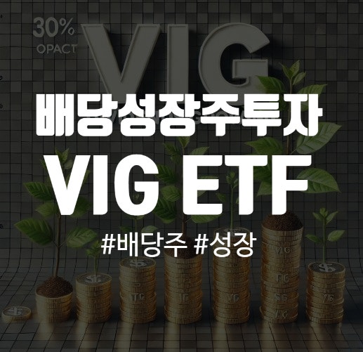 VIG ETF_꾸준한 배당과 함께 미래를 설계하고 싶다면 : 네이버 블로그