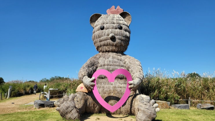 가을 향기가 가득한 상암 하늘공원 억새축제 이제 걸어 가세요 네이버 블로그