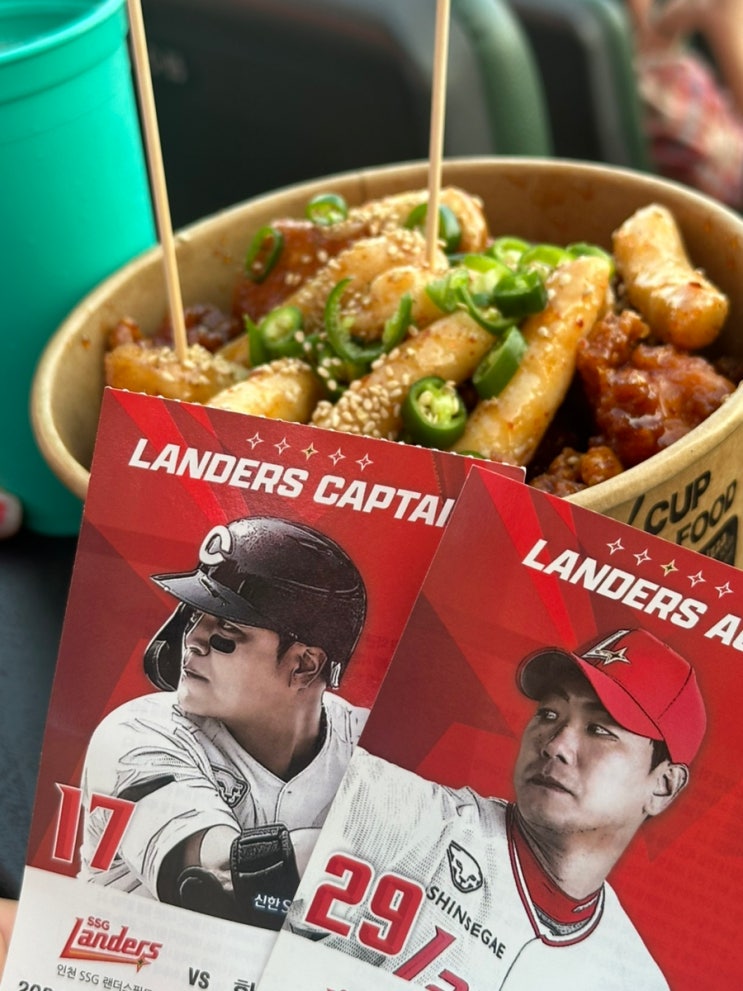 SSG 랜더스 필드 인천 문학 경기장 라이브존 V5구역 D열 시야 후기 | SSG VS 한화 직관 후기 : 네이버 블로그