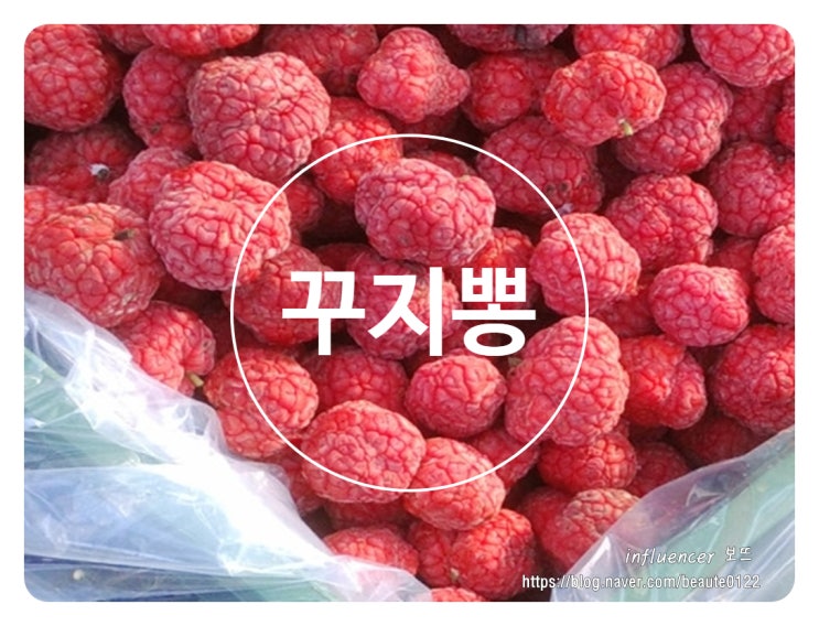 꾸지뽕 효능 6가지 부작용 구찌뽕 먹는법 하루섭취량 네이버 블로그
