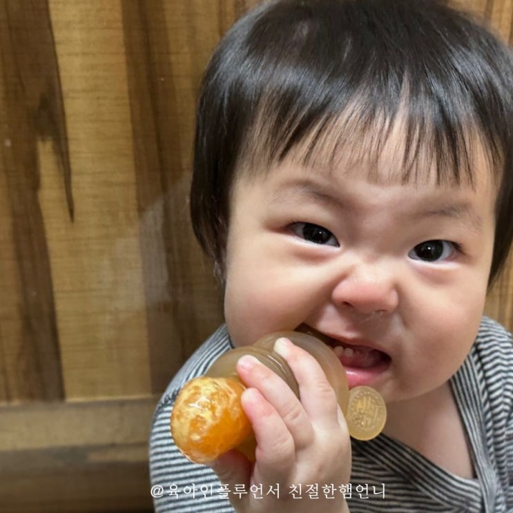 아기과즙망사용시기 6개월 7개월 8개월 9개월 10개월 아기과일시기 아기귤 네이버 블로그