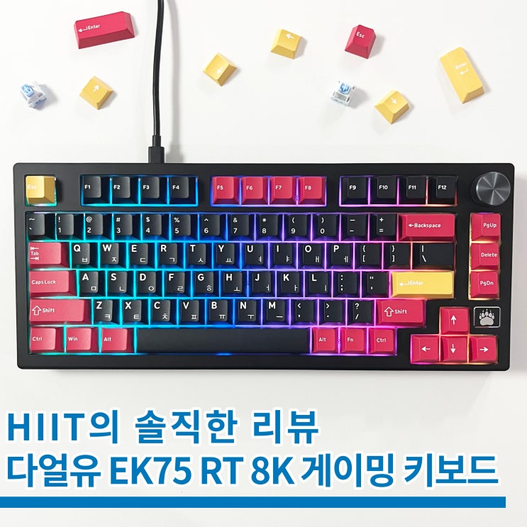 래피드 트리거 키보드 다얼유 EK75 RT 8K : 네이버 블로그