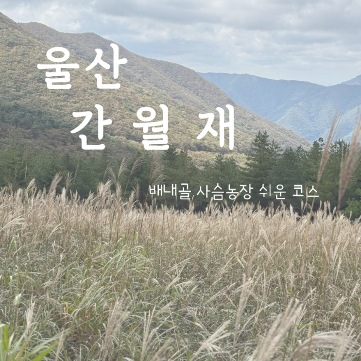 울산 배내골 사슴농장 쉬운 등산 코스 후기와 주차 팁 네이버 블로그