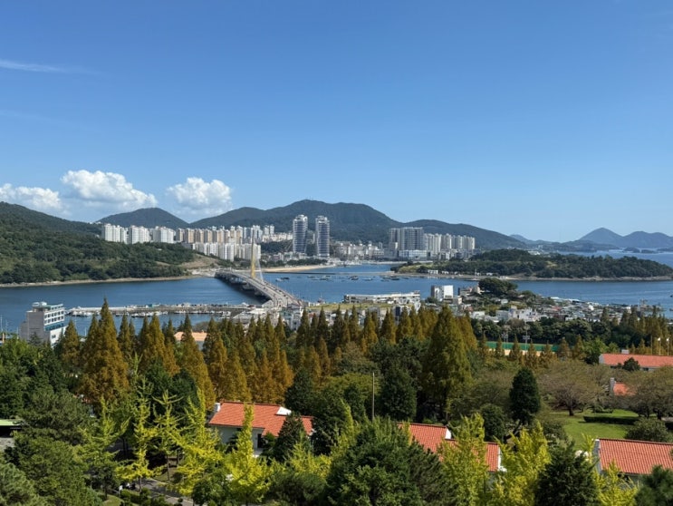 여수 대형 카페 베이커리 오션뷰 맛집 힐론 : 네이버 블로그