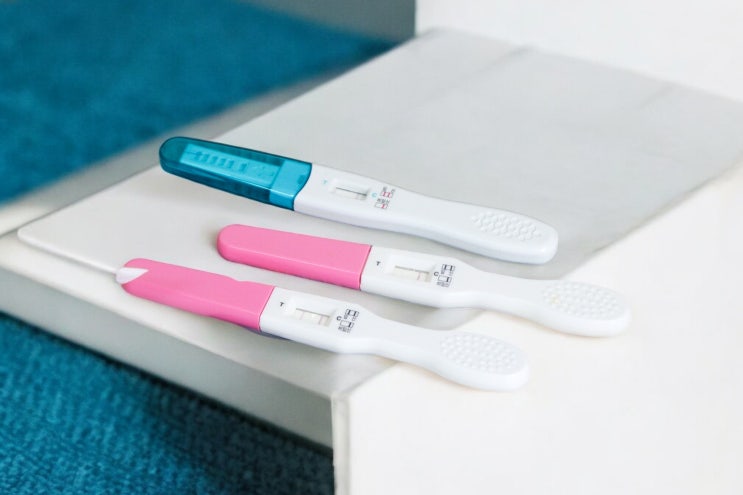 임신 산과력 TPAL GPLDA 쉽게 정리 : 네이버 블로그