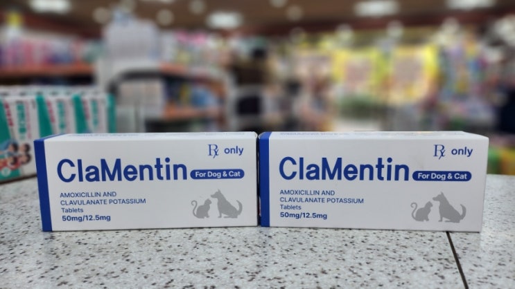 수원 하나로 365동물약국 | 클라멘틴(ClaMentin) 강아지 고양이 광범위 항생제 성분 효능 및 효과 용법 용량 부작용 ...