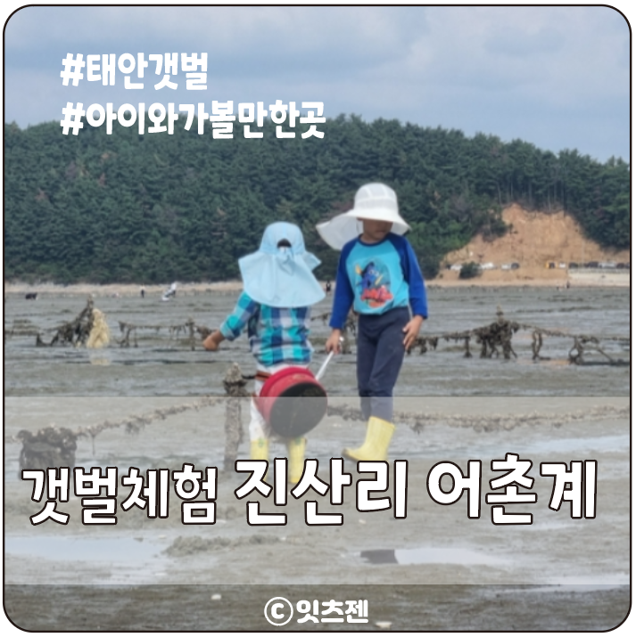 충남 아이와가볼만한 곳 태안 진산어촌계 갯벌체험근처맛집준비물주차 네이버 블로그