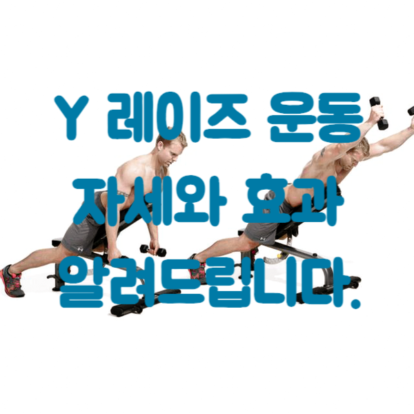 Y 레이즈 운동 효과와 자세 알려드립니다. : 네이버 블로그