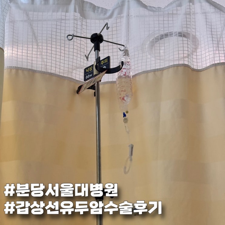 30대 여자 갑상선유두암 수술분당서울대병원 입원2일차 후기 네이버 블로그