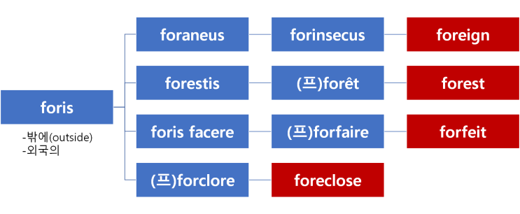 foreign과 어원이 같은 단어 : forest, forfeit, foreclose : 네이버 블로그