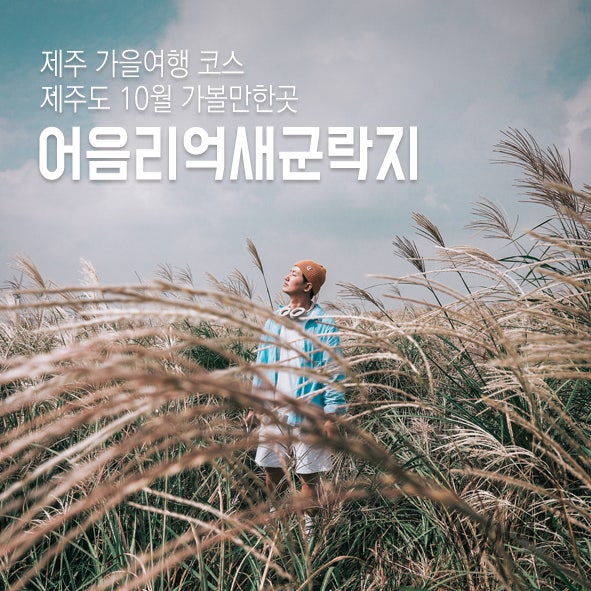 제주 가을여행 코스 제주도 10월 가볼만한곳 추천 어음리억새군락지 네이버 블로그