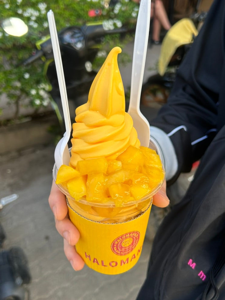 [보홀] HALOMANGO 할로망고 1일1할로망고 추천후기. 보홀망고 : 네이버 블로그