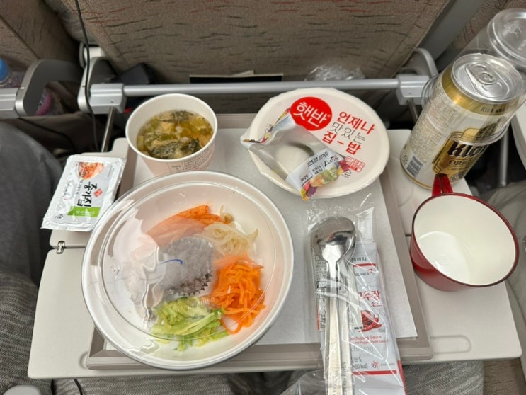 인천-방콕 아시아나항공 왕복 탑승후기 (OZ743, OZ742) 가격, 기내식 : 네이버 블로그