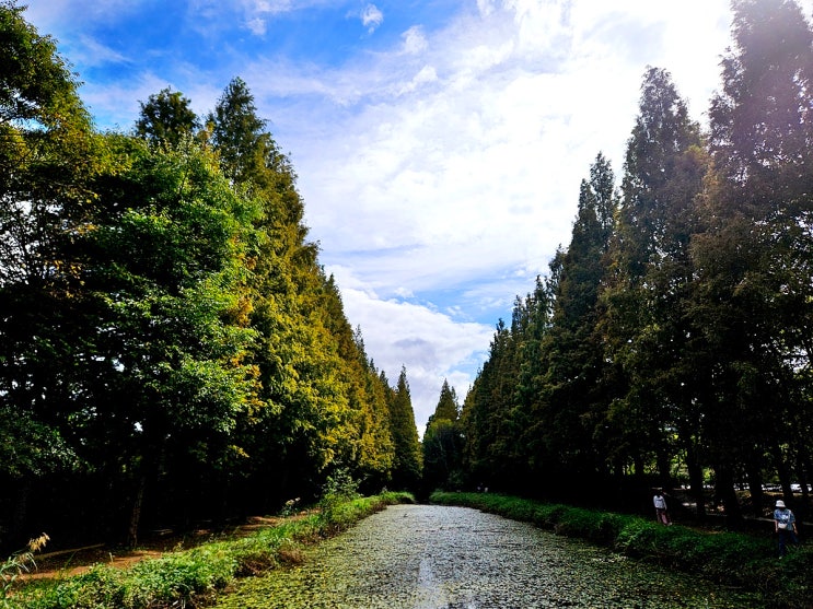 경주 가볼만한곳 산책하기 좋은 경북천년숲정원 : 네이버 블로그