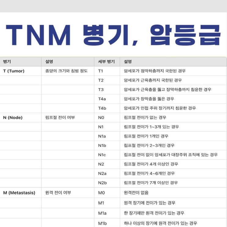 TNM 병기 분류 암 1기 2기 3기 4기 stage 진행 등급 단계 차이 : 네이버 블로그