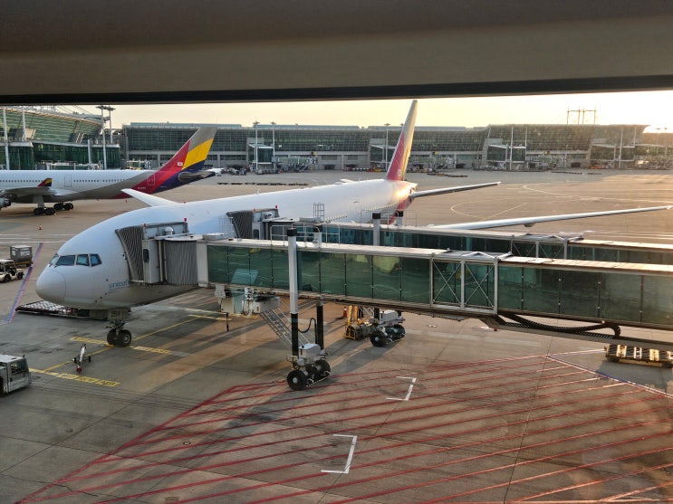 [인천↔️시애틀 비행기 이코노미석 탑승후기][아시아나 OZ272 / OZ271] 비행기 기종 기내식 어매니티 좌석 배치 탑승시간 ...