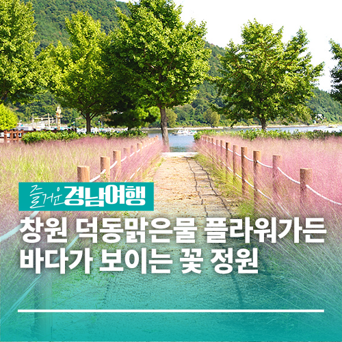 경남창원 창원 덕동맑은물 플라워가든 바다가 보이는 꽃 정원 네이버 블로그