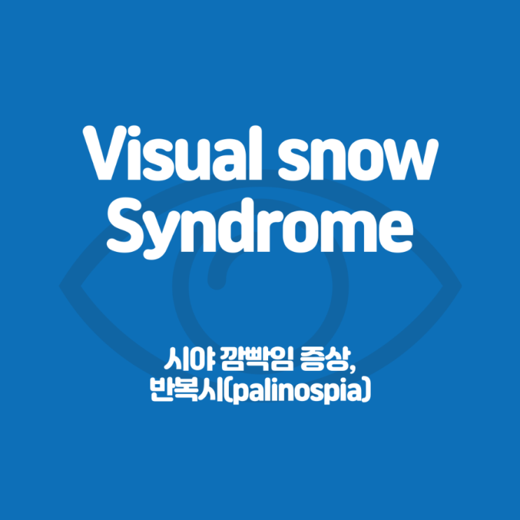 [VSS] 비주얼스노우 증후군[3] 시야 깜빡임, 반복시(palinopsia), 비주얼 스노우 : 네이버 블로그