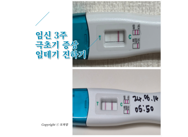 임신 3주 극초기증상 얼리임테기 원포임신테스트기 시기 진하기 네이버 블로그