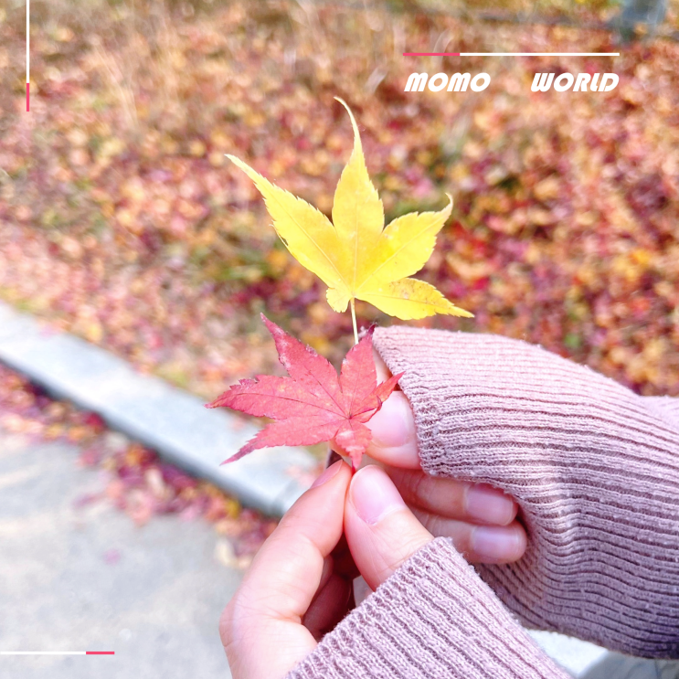 화담숲 예약 꿀팁 취소표 예매 방법 줍줍 10가지 네이버 블로그