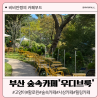 부산 사상 할로윈 분위기 카페 우디브룩 네이버 블로그