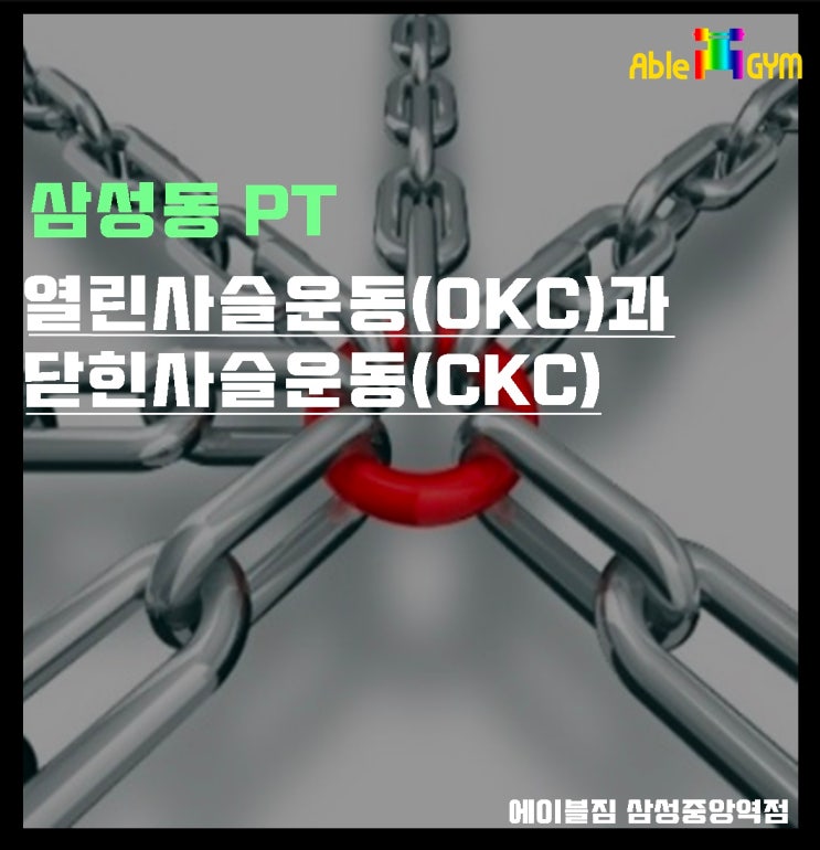 삼성동 PT :: 열린사슬운동(OKC)과 닫힌사슬운동(CKC) : 네이버 블로그