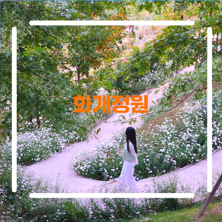 강화 화개정원 가을 풍경 및 모노레일 정보 강화도 화개산 전망대 네이버 블로그