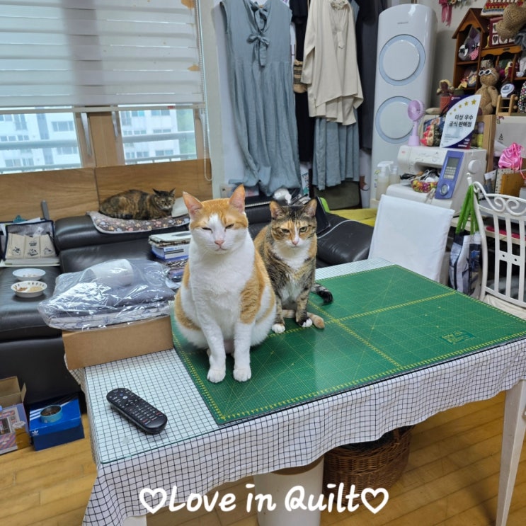 인도원단 로브 아동티/버네트b77 b79구매 버니나B535 사용 후기/가정용 준 공업용 자동 사절 옷 만들기 소품 머신 퀼트 ...