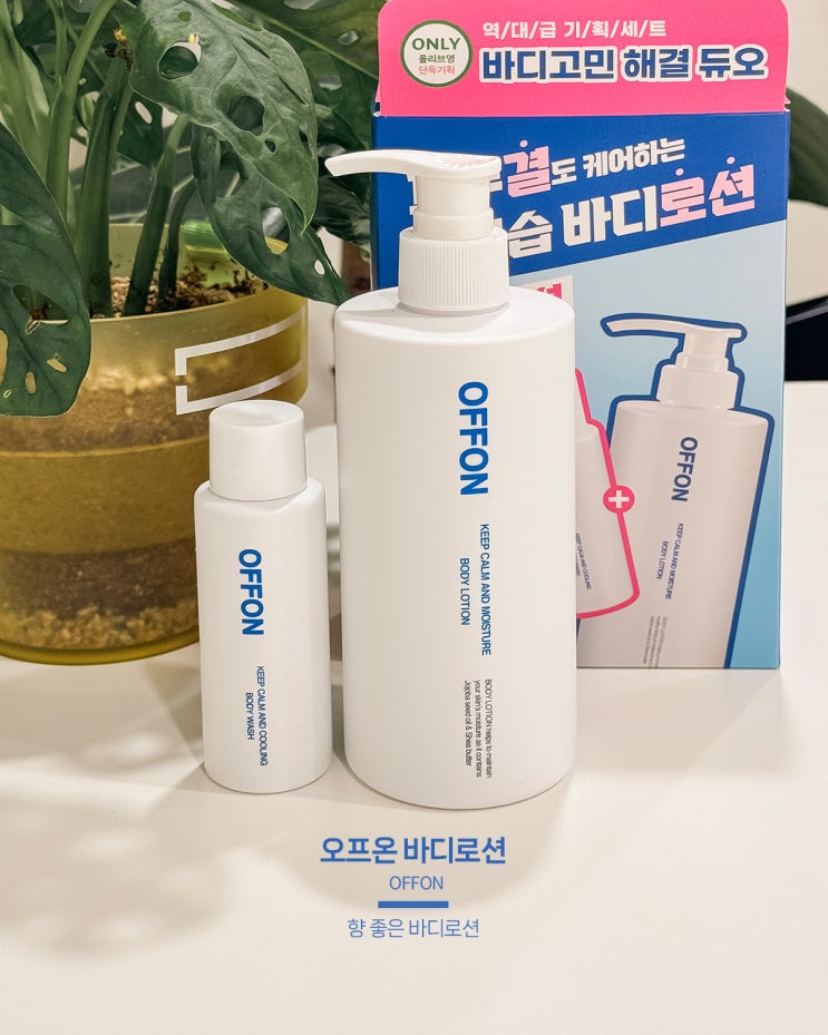 올리브영 향 좋은 바디로션 추천 오프온 바디로션10월 올영픽 추천 기획세트 네이버 블로그