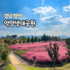 경남 함안 악양생태공원 핑크뮬리 코스모스 가을 여행지 네이버 블로그