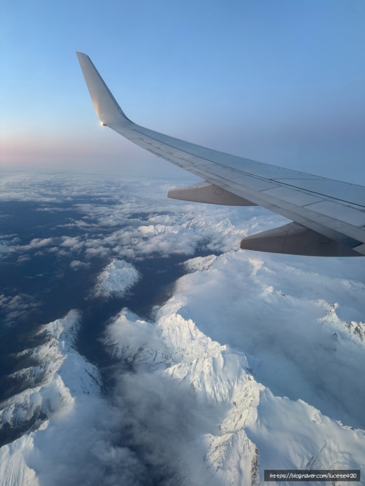 뉴질랜드 남섬, 호주 시드니 여행 왕복탑승후기/예약꿀팁/자리추천/눕코노미/기내식 : 네이버 블로그