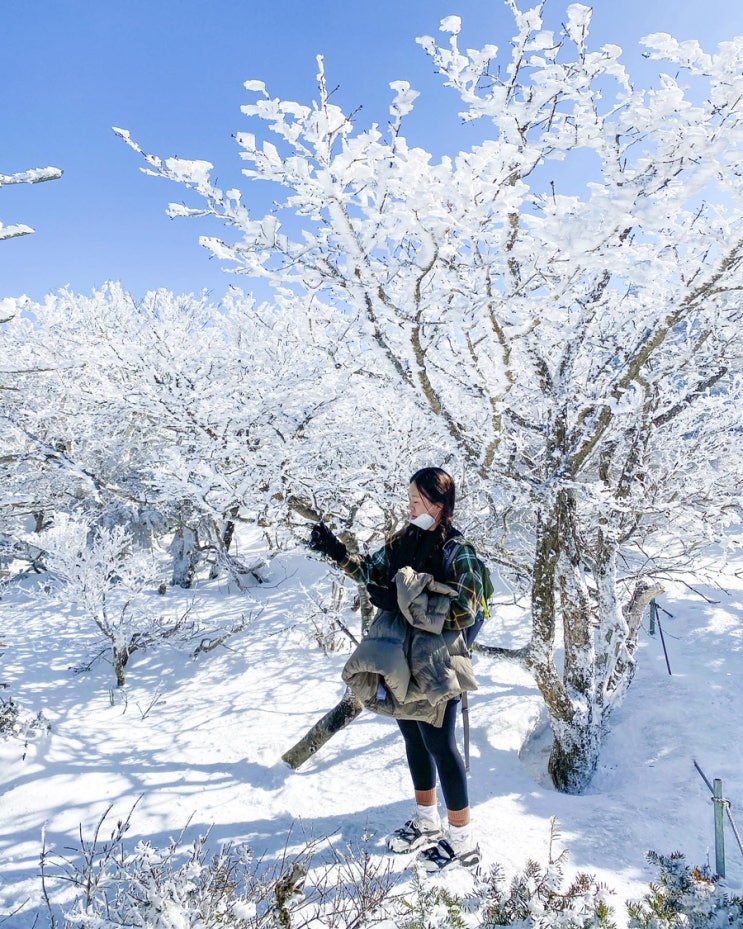 제주도 한라산 겨울 등산코스 눈꽃산행 준비물 및 꿀팁 (영실탐방로, 성판악탐방로) : 네이버 블로그