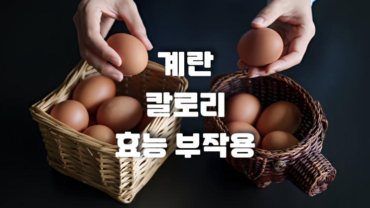 계란 1개 칼로리 영양성분 자세하게 알아볼게요 네이버 블로그