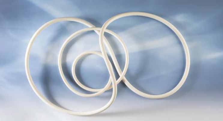 실리콘 반도체 FFKM 씰링 : 켐라즈 Chemraz® E38 : 그린 트위드(Greene Tweed) : 네이버 블로그