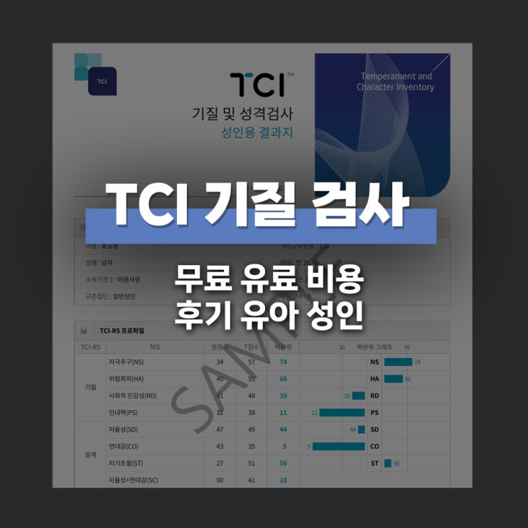 TCI 검사 무료 유료 비용 후기 아이 기질 성인 : 네이버 블로그