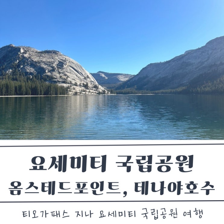 요세미티 국립공원 터널뷰 일출과 티오가로드 타고 옴스테드포인트, 테나야호수까지 : 네이버 블로그