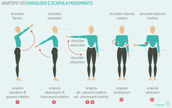 어깨관절 가쪽돌림 안쪽돌림 External Rotation Internal Rotation 네이버 블로그