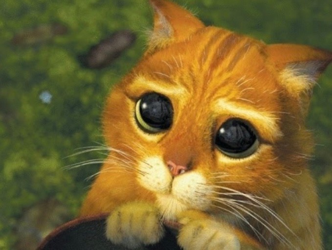 LG그룹 인적성검사 LG Way Fit test 준비 + 응시 후기 : 네이버 블로그